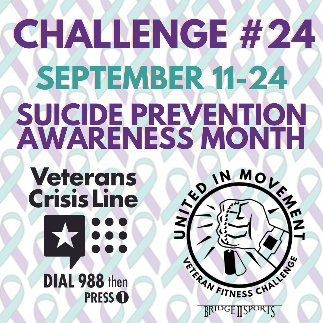 Military Veteran Suicide Awareness Ribbon
